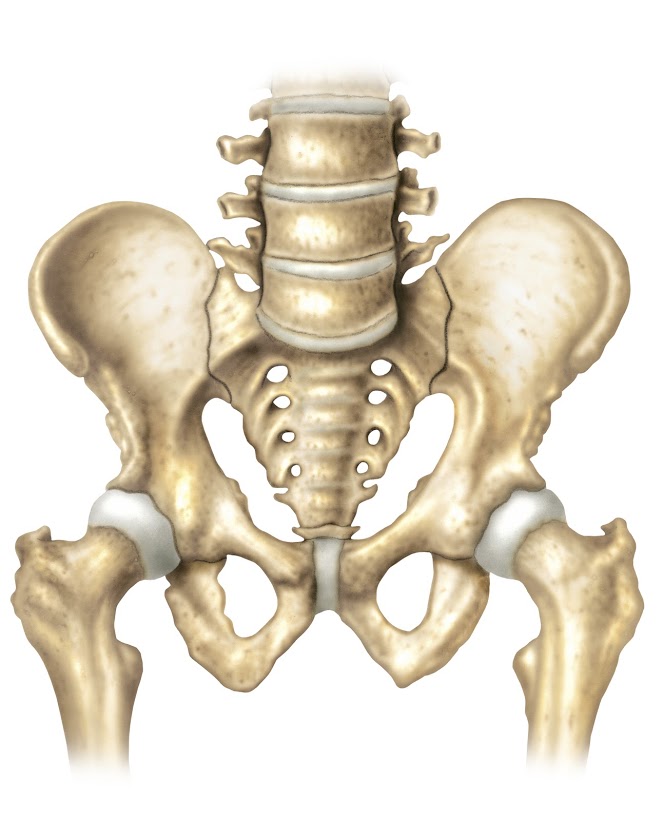 What is a Hip Arthroscopy? - Orthopaedic Specialty Group